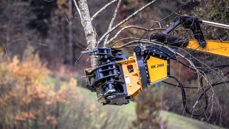 Felling Head and Tips for Successful Tree Feeling - Sodealicio.us